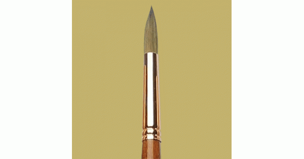 Pure Kolinsky Red Sable hair brush #8