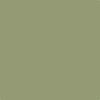 Sennelier Oil Pastel Olive Green #46
