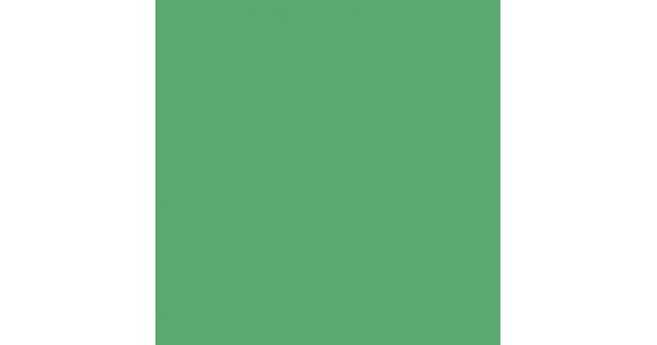 Sennelier Soft Pastel Cinereous Green #347 - Standard